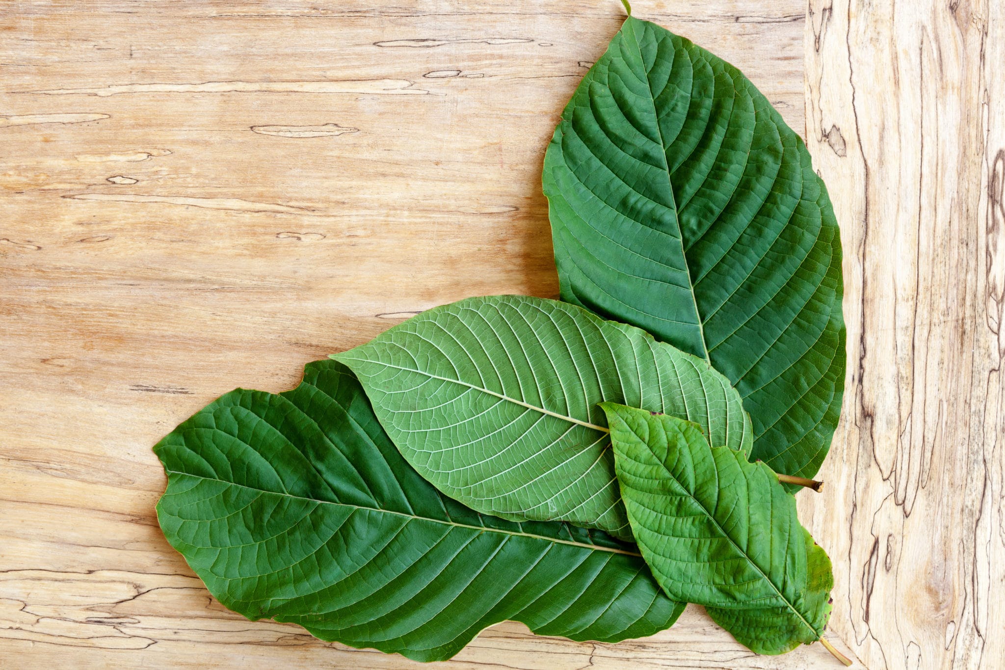 Different Types of Kratom - Green Leaf Kratom Blogs